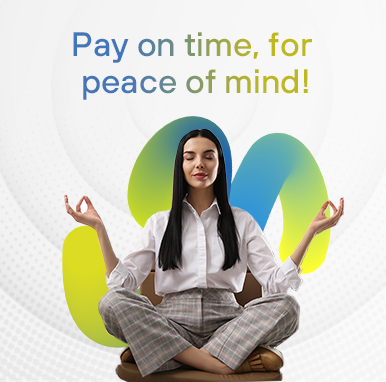 TATA Capital Collections Portal